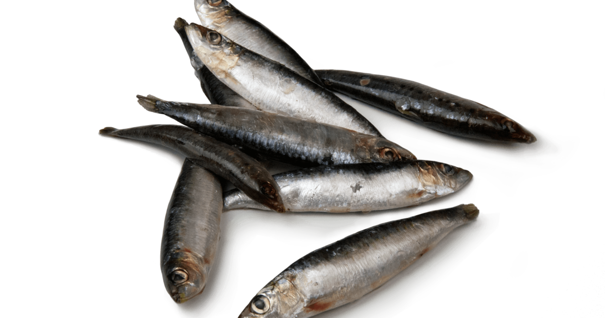 Petinga | Guimarpeixe