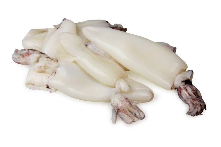 Lula Limpa | Guimarpeixe